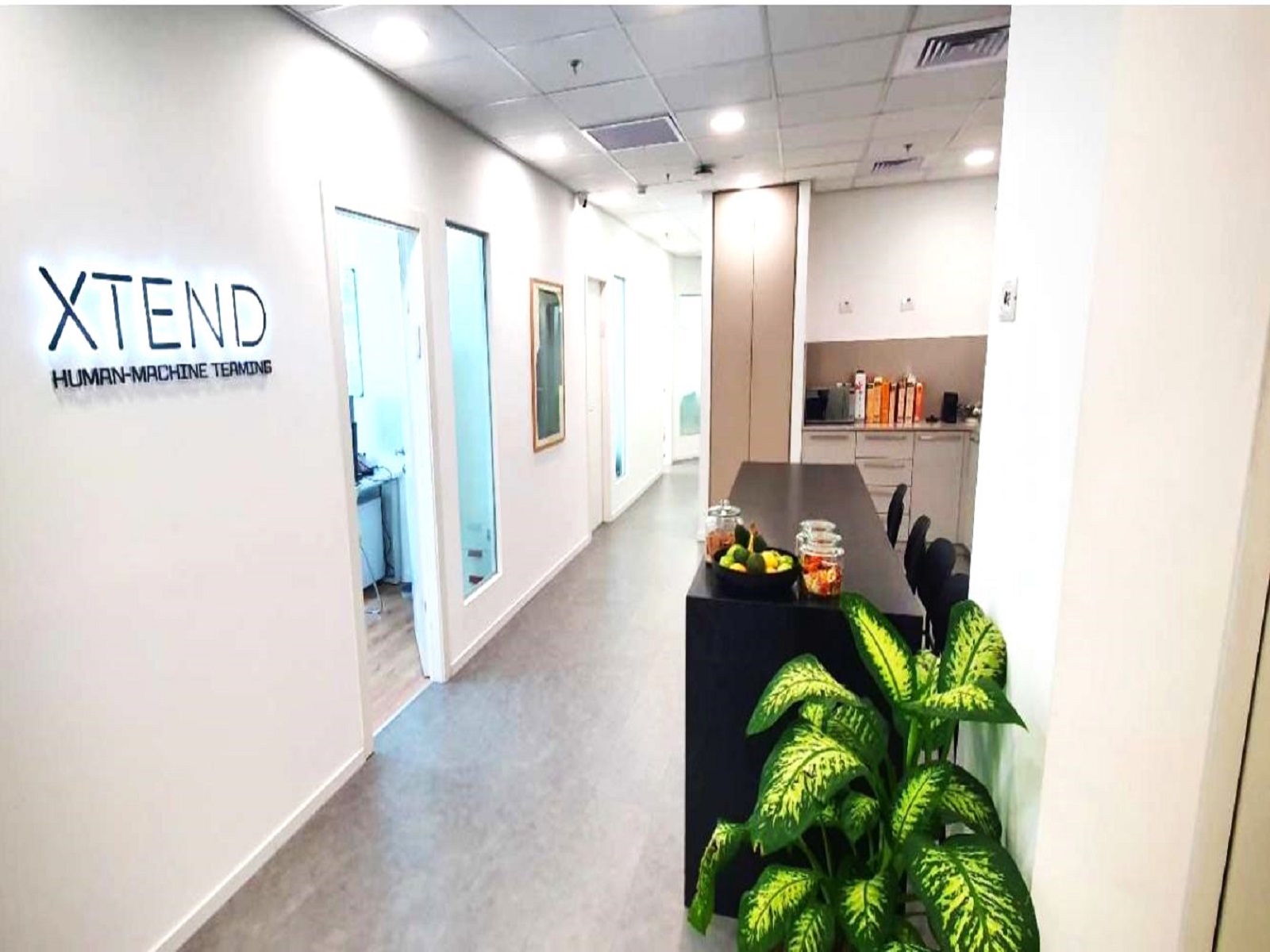 457 מ"ר, מכובד, משופץ ומרוהט - טופ-לנד שיווק נדל''ן עסקי